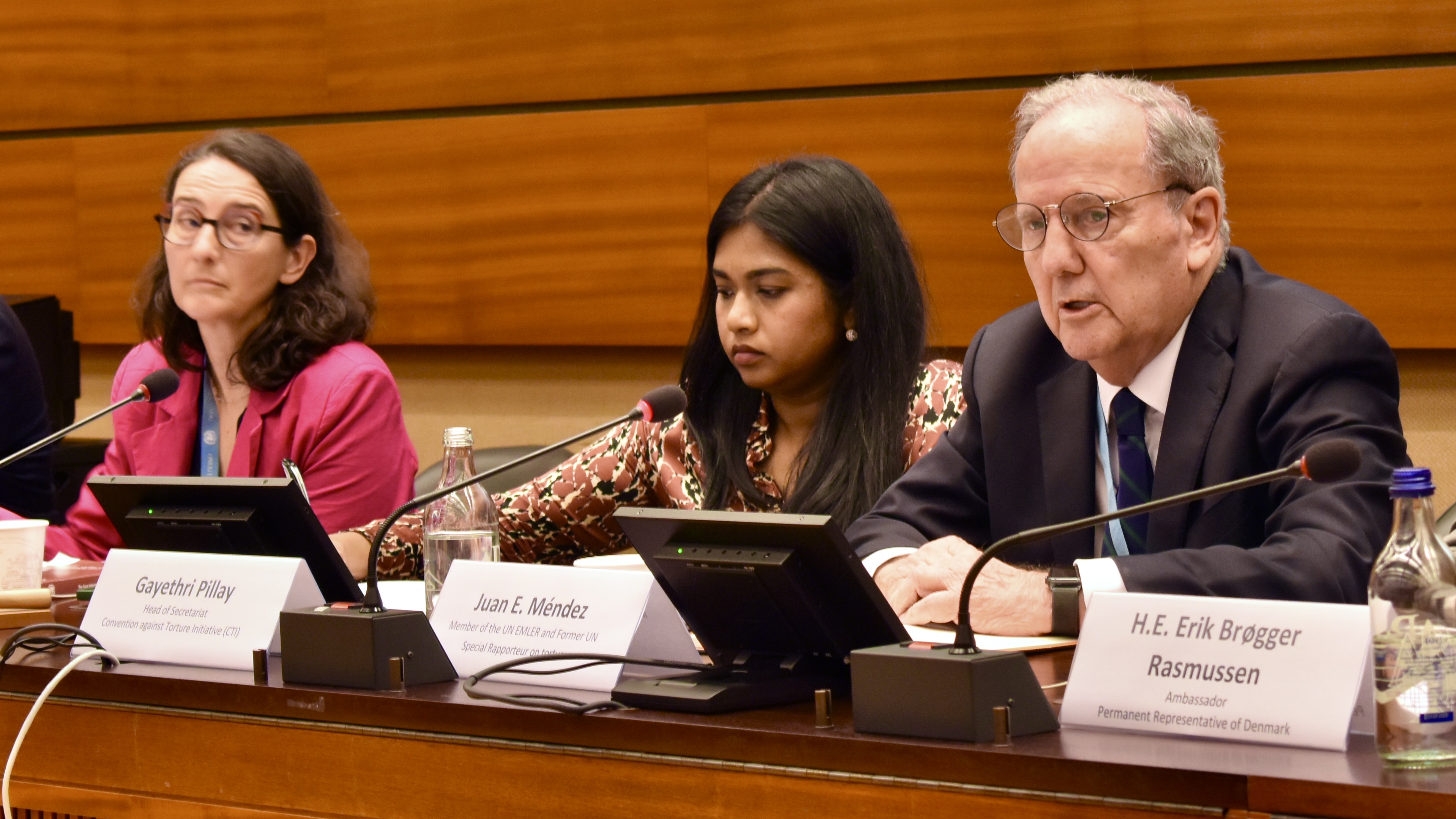 Méndez Principles: Council side event shares insights to strengthen ...