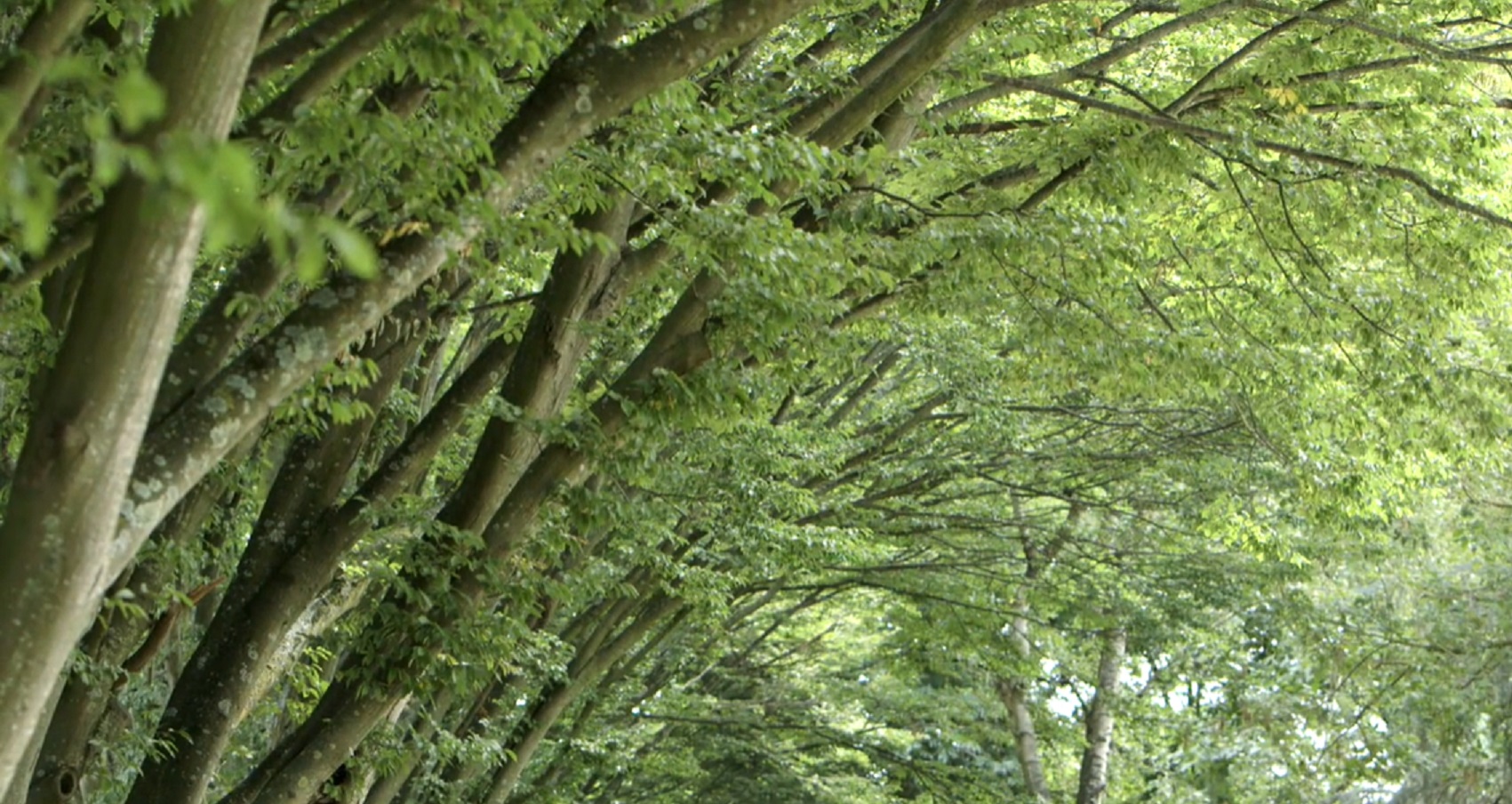 Yes, torture prevention works: refining strategies to bring about ...